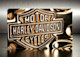 Motorcycle Alarms & Security System | Harley-Davidson USA